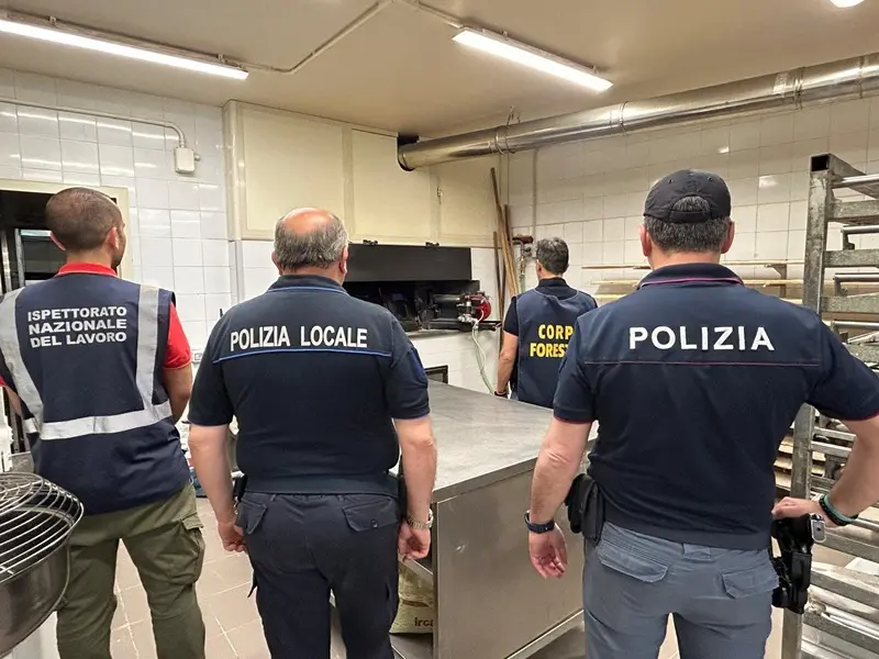 Santa Maria di Licodia, controllati panificio e pizzeria: cibi senza ...